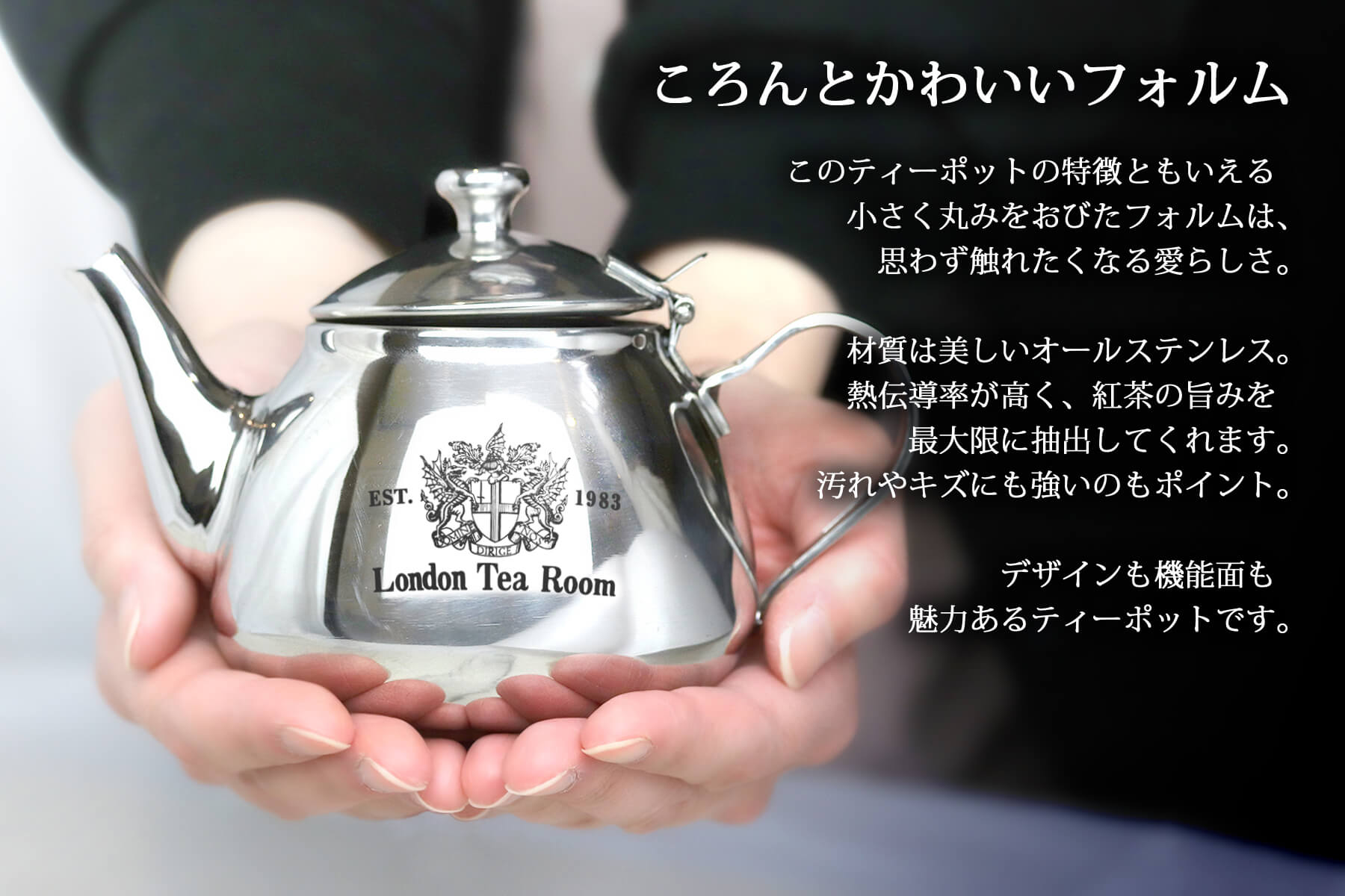 ティーポット 1人用 ステンレス製 （約380cc）オリジナルロゴ入り